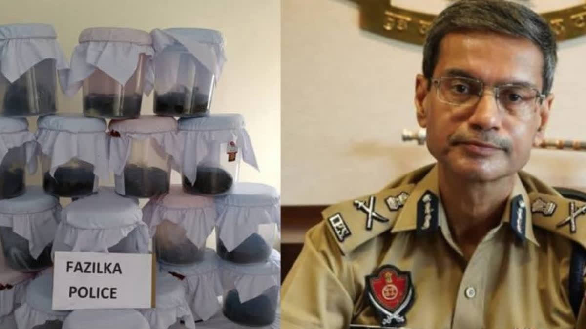 Punjab Police Busts Inter State Drug Cartel With Arrests Of Jharkhand