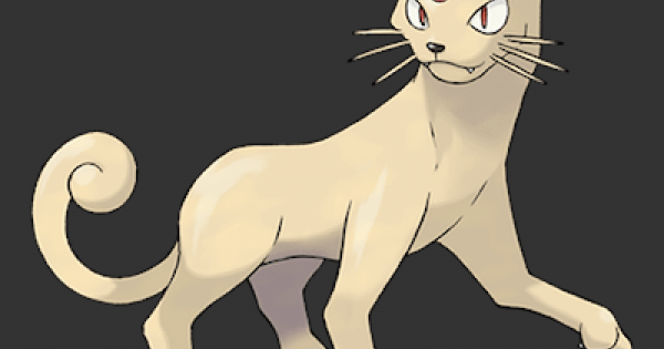 Meowth Pokemon Evolution Chart Pic Cahoots