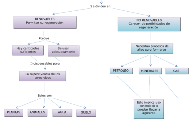 42 Diferencias Entre Mapa Mental Y Mapa Conceptual Png Nietma Pornо