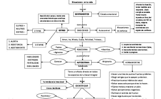 33 Mapa Conceptual De Psicologia Cognitiva Png Nietma