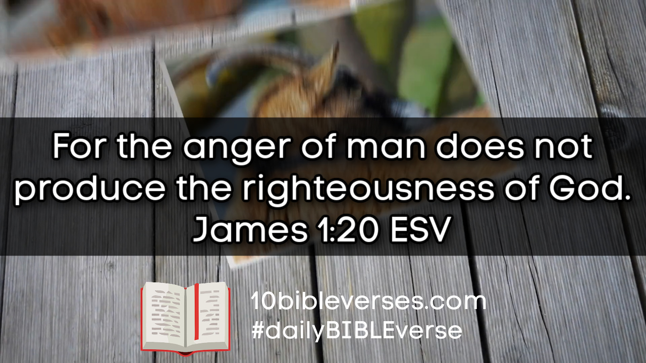 10 Bible Verses About Aggression