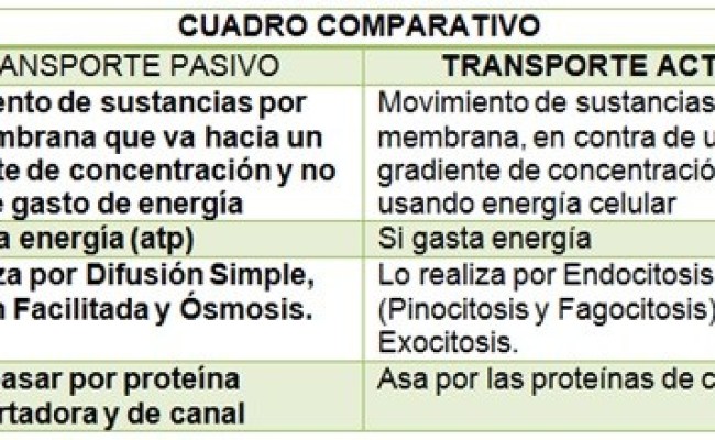 Cuadro Comparativo De Transporte Activo Y Pasivo Diferencias Entre