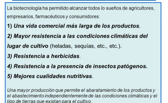 Ventajas Y Desventajas De Los Alimentos Transgenicos Cuadro Comparativo