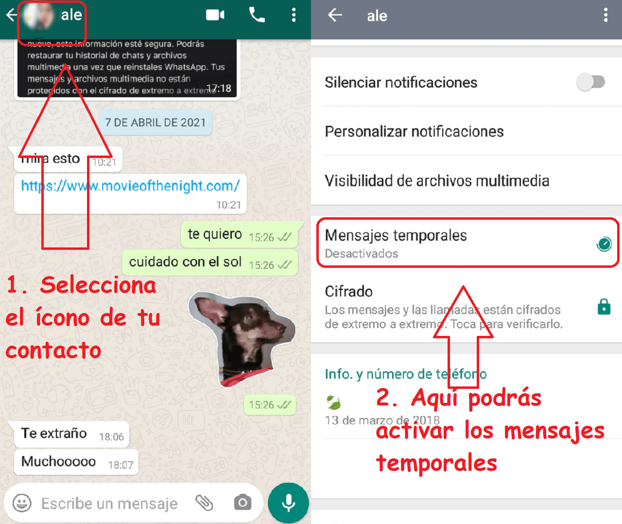 Whatsapp Así Puedes Enviar Mensajes Temporales A Tus Contactos