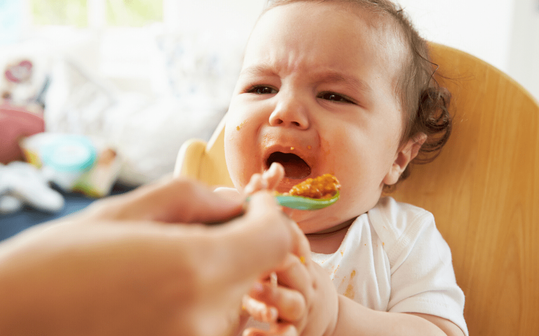 O Meu Bebé Não Quer Comer E Agora Comida De Bebé