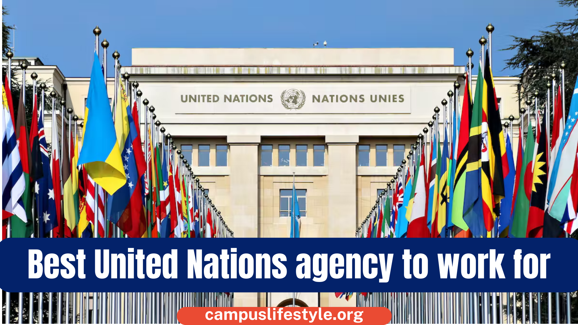 Best United Nations Agency To Work For Campus Lifestyle