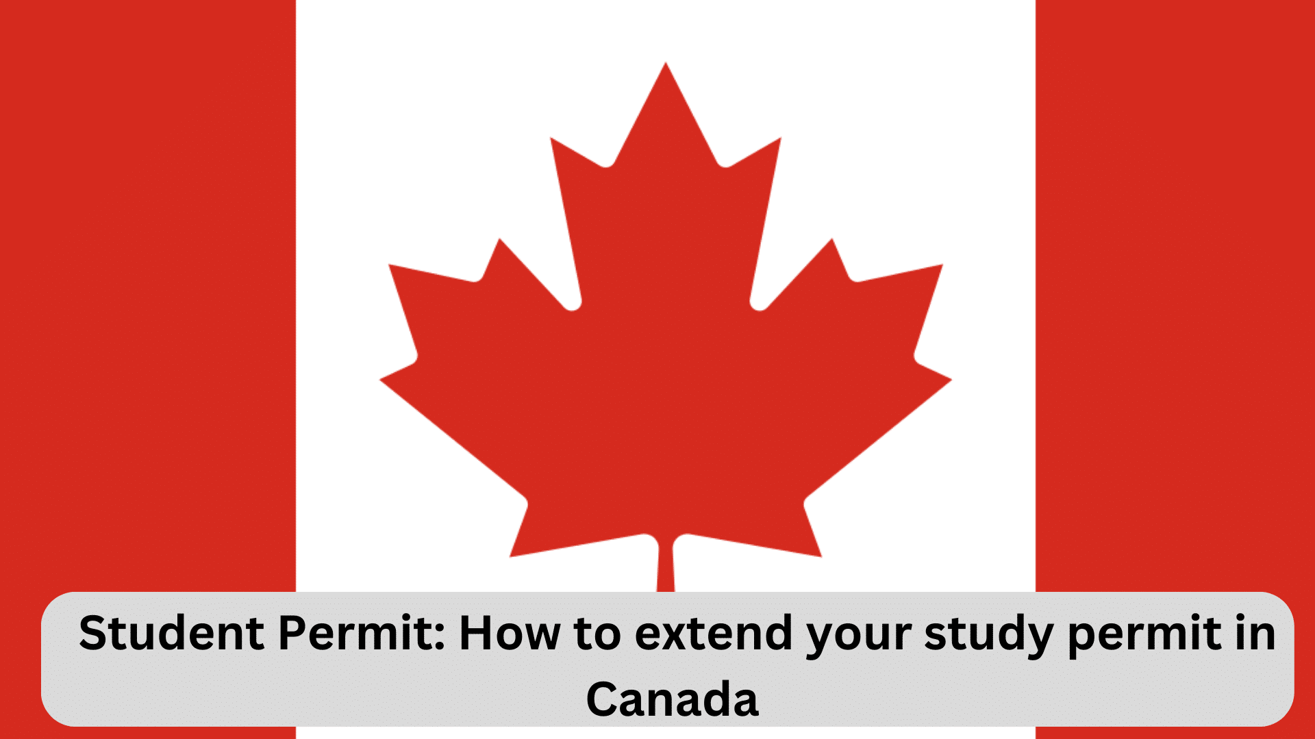 Student Permit How To Extend Your Study Permit In Canada For 2023