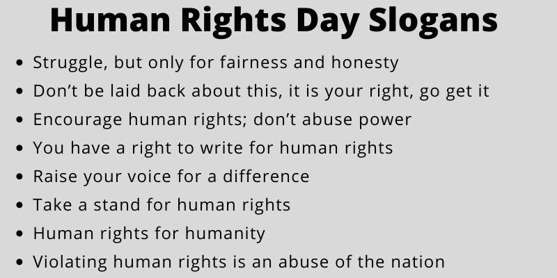 110 Human Rights Day Slogans And Taglines That You Will Love