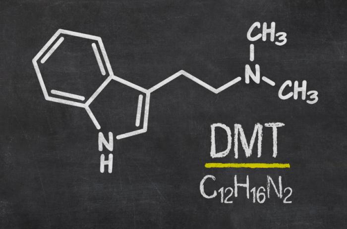 Dmt Side Effects Facts And Health Risks