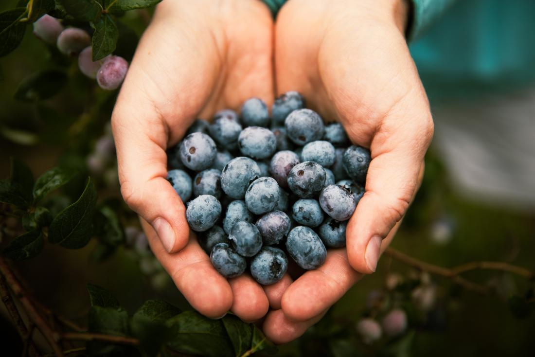 Can Blueberries Protect Heart Health