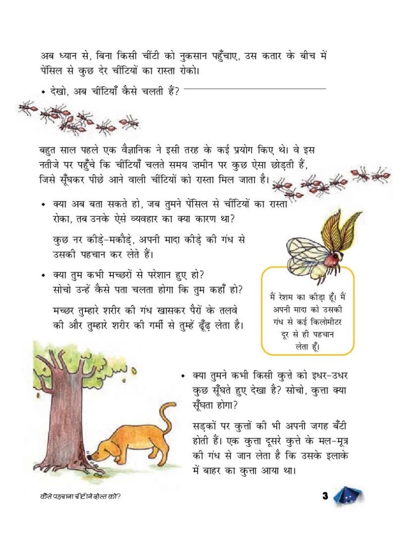 Ncert Book Class 5 Evs Chapter 1 Super Senses कैसे पहचाना चींटी ने