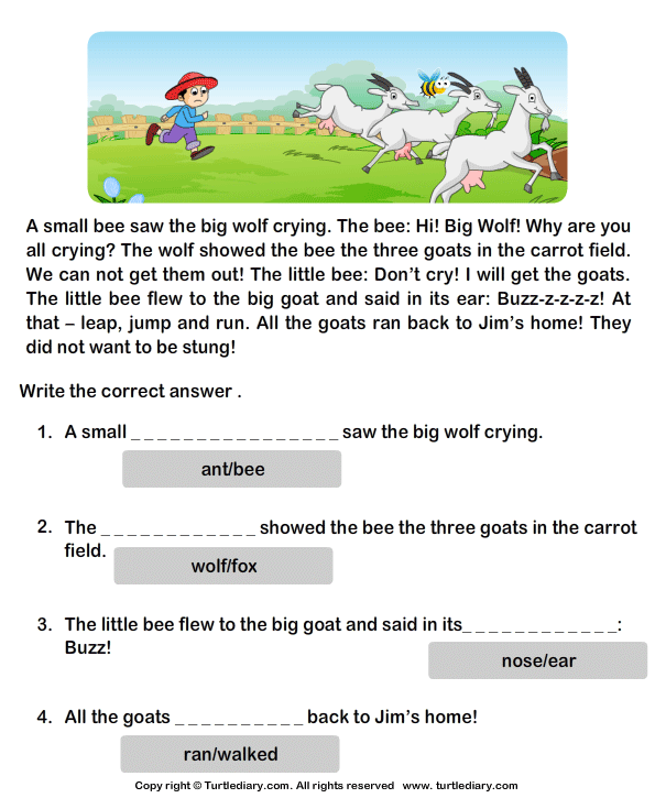 Download And Print Turtle Diarys Reading Comprehension Ria Garden