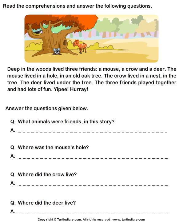 Download And Print Turtle Diarys Reading Comprehension Ria Garden