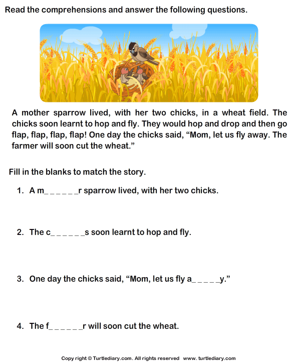 Download And Print Turtle Diarys Reading Comprehension Ria Garden