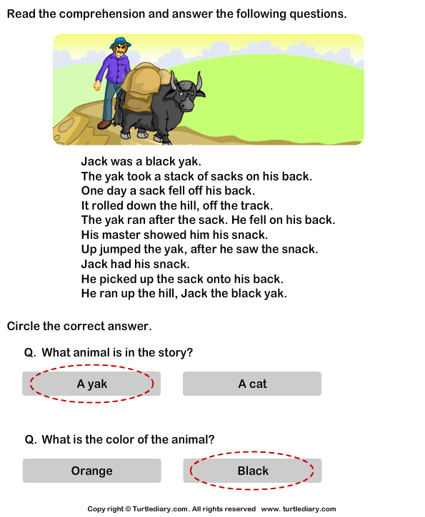 Reading Comprehension Stories Worksheet 7 Turtle Diar