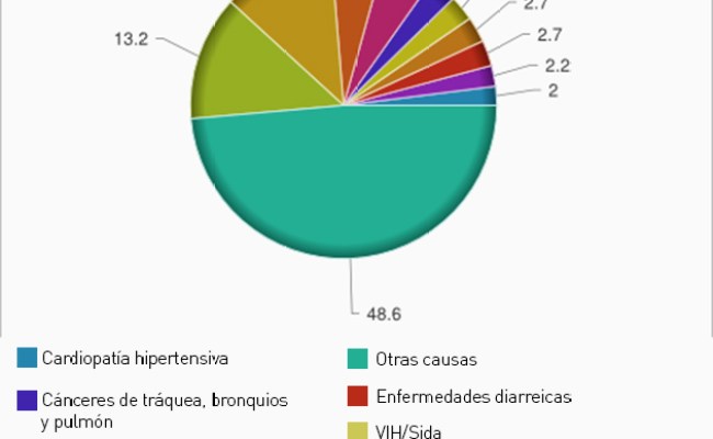 Las 10 Principales Causas De Muerte En El Mundo Otosection