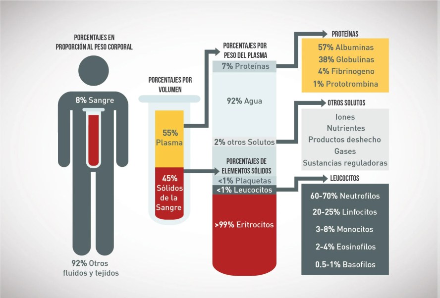 ¿cuantos Litros De Sangre Tiene El Cuerpo Humano