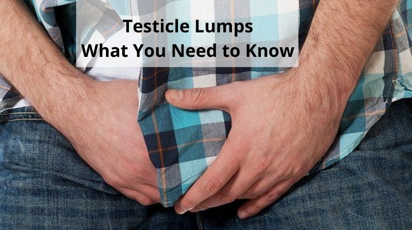 Testicle Lumps What You Need To Know National Testicular Cancer Society