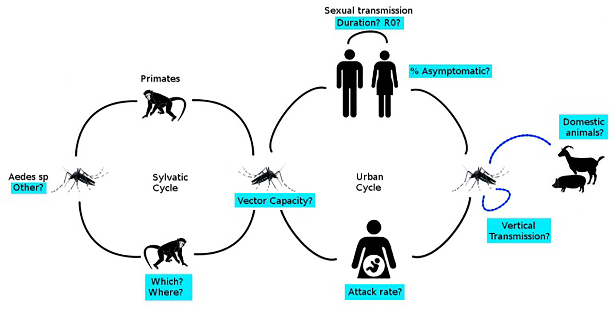 Revealing Data Learning About Zika Circulating Now From The Nlm