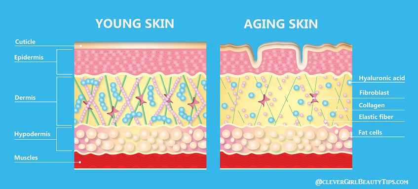 How To Produce Collagen Naturally In Six Steps Without Injections