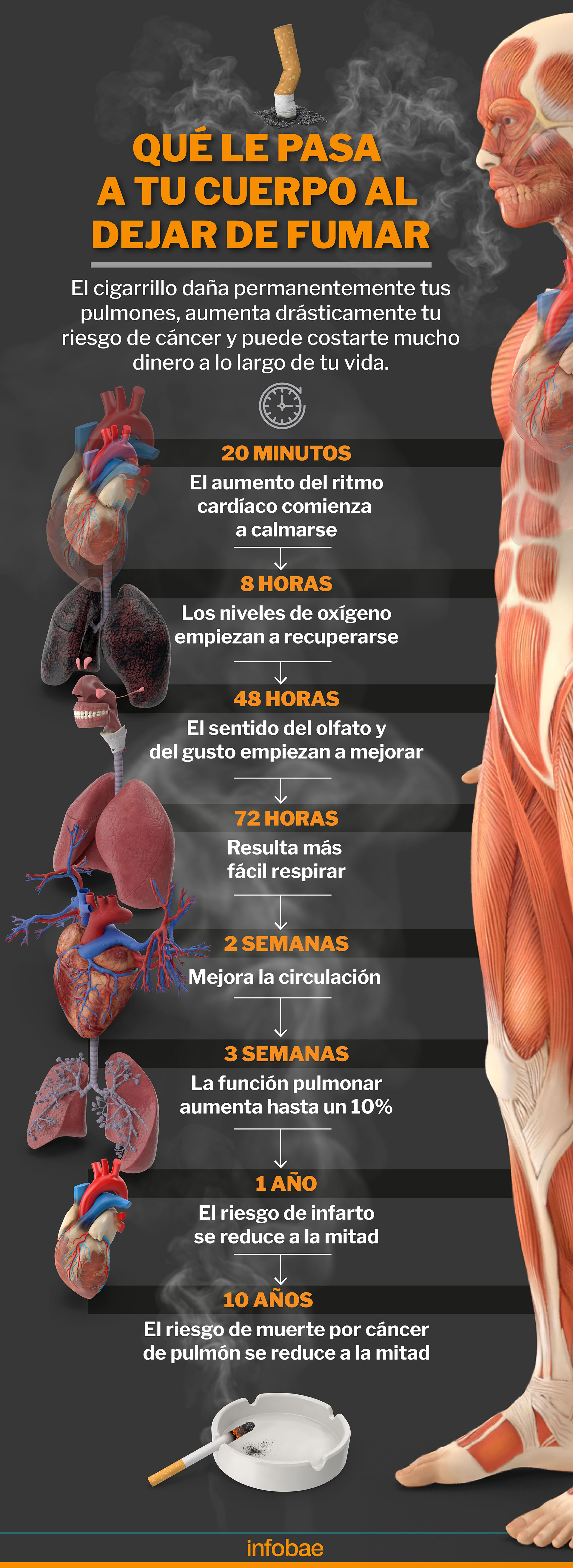 Esto Es Lo Que Le Pasa A Tu Cuerpo Al Dejar De Fumar — Ahoradigital