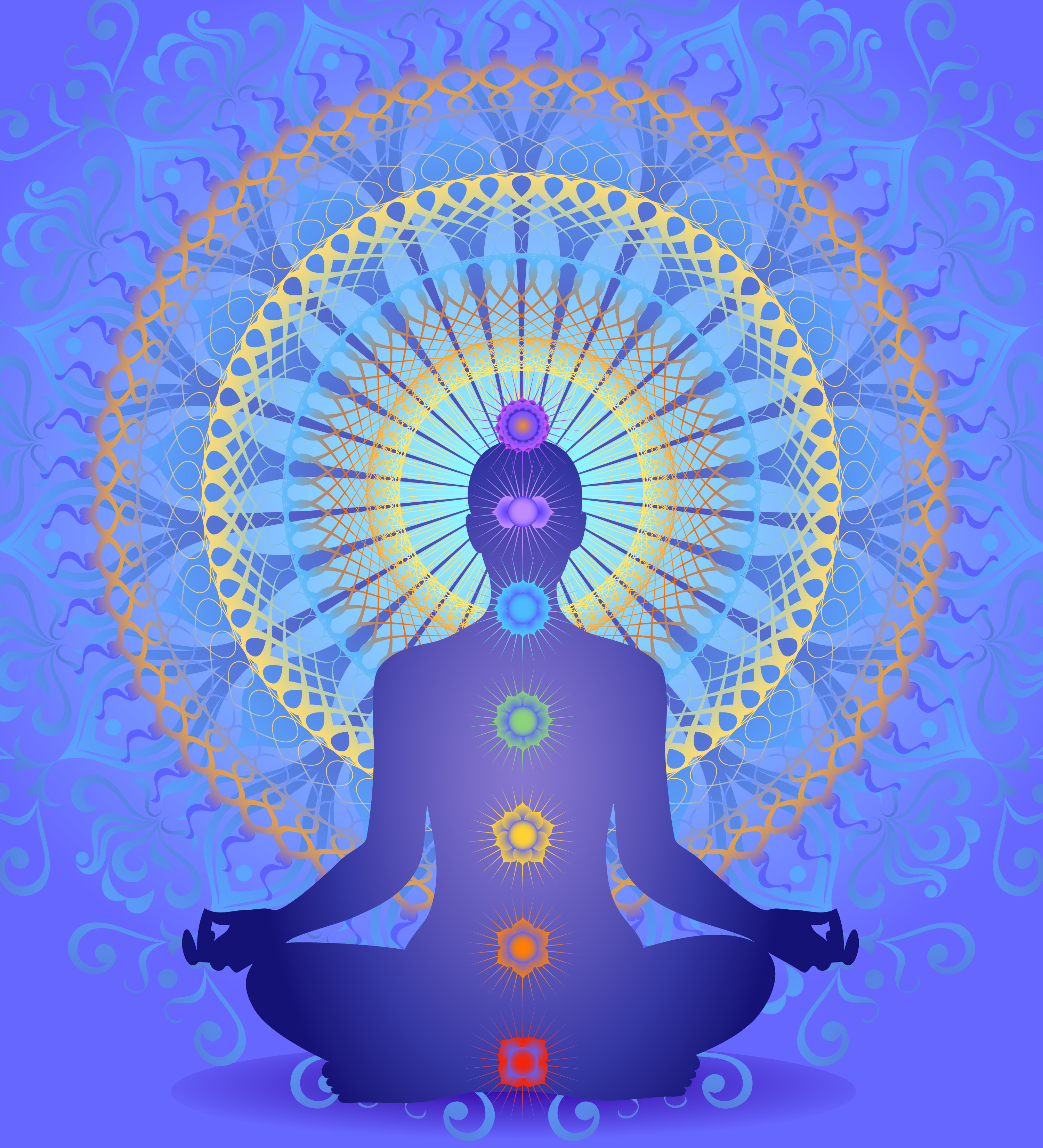 The 7 Chakras Every Yogi Must Know Ambuja Yoga