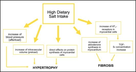 Salt And Hypertension The American Journal Of Medicine Blog