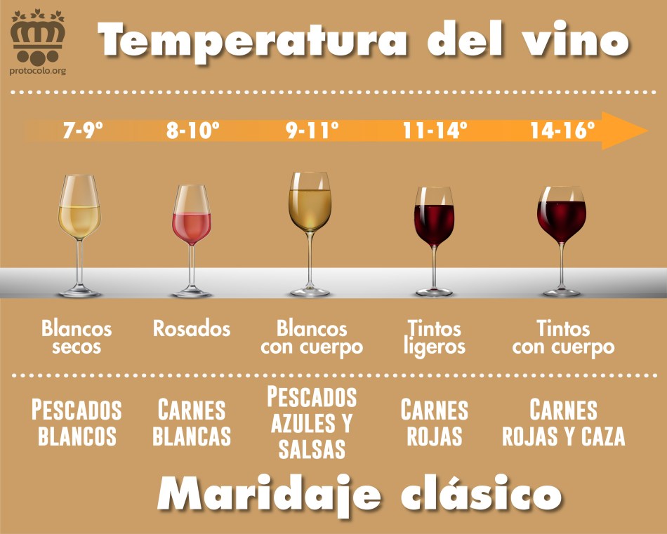 14 Infografías Para Aprender Sobre La Degustación De Vinos The Big