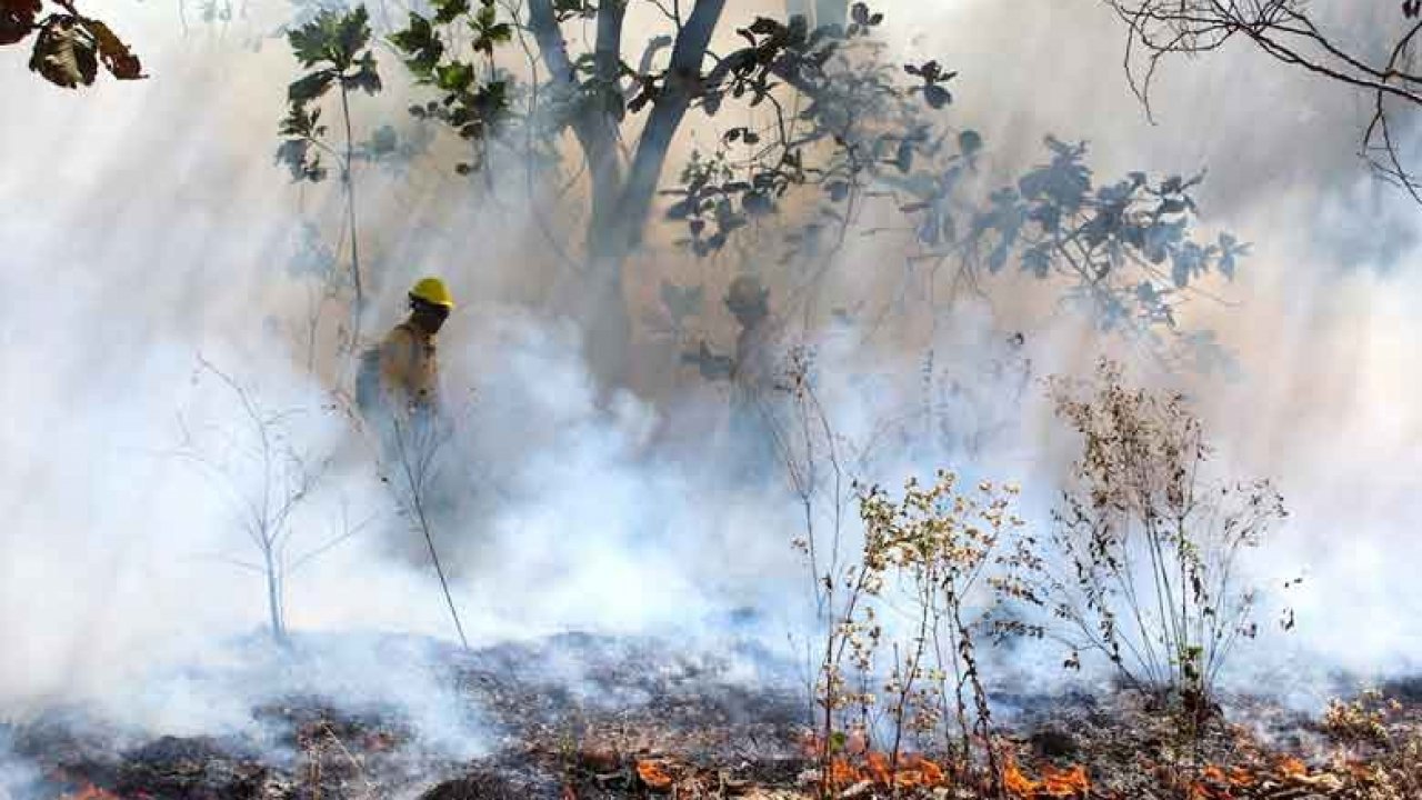 Activos 78 Incendios En El País Informan Autoridades Forestales