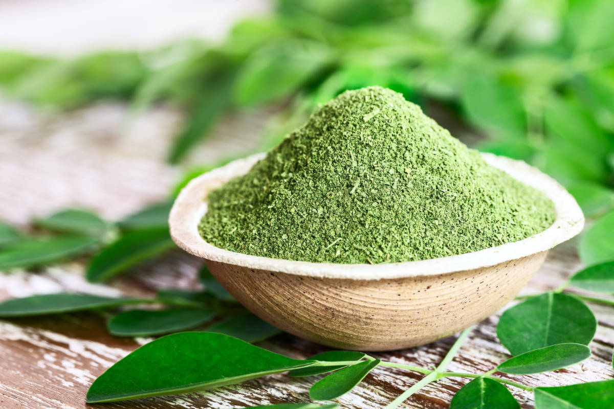 Truly The “miracle Tree” Moringa Boosts Immunity Fights Off