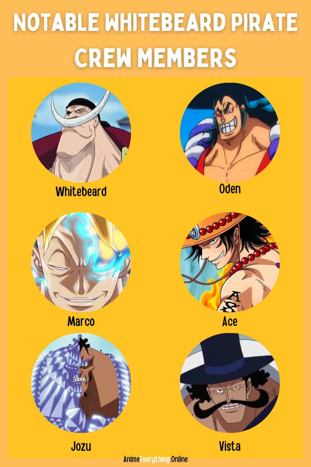 The 15 Most Powerful One Piece Pirate Crews Ranked Gamers Anime