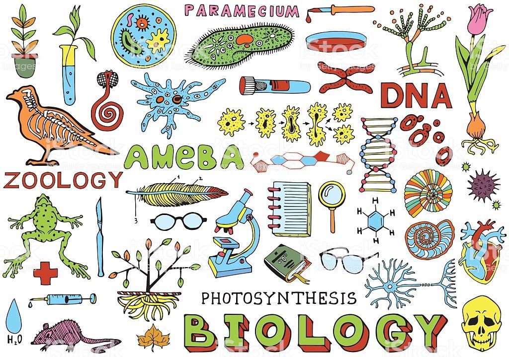 ¿consejos Para Estudiar Biología 5 Consejos Y Tips