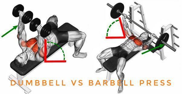 Barbell Vs Dumbbell Bench Press Thornton Co Gym Afac Gym