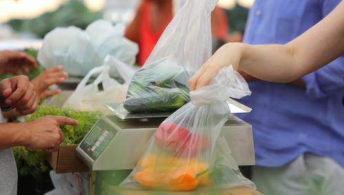 A Ley Proyecto Que Prohíbe La Entrega De Bolsas Plásticas En El