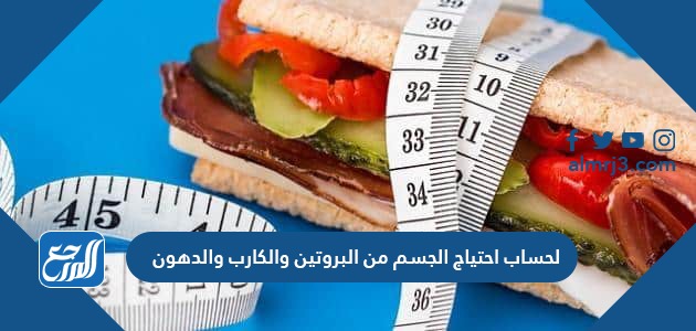 لحساب احتياج الجسم من البروتين والكارب والدهون موقع المرجع