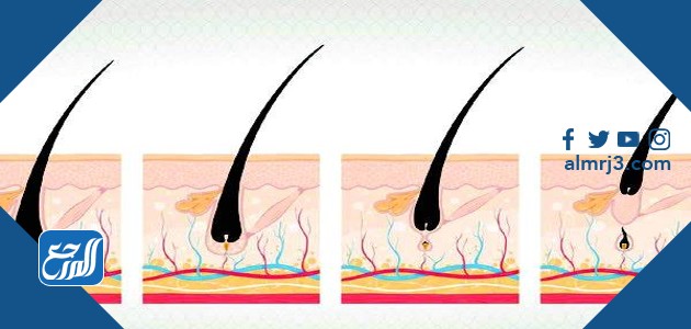 طريقة إزالة الشعر بالموس للمنطقة الحساسة وأفضل الماسكات بعد ازالة الشعر