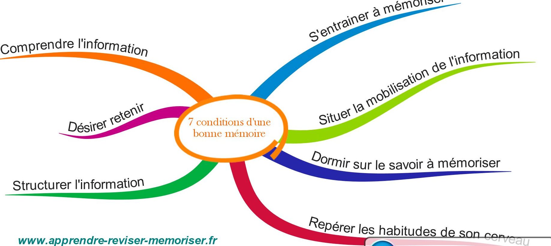 Mind Map Ou Carte Mentale Un Outil Pour Apprendre Efficacement