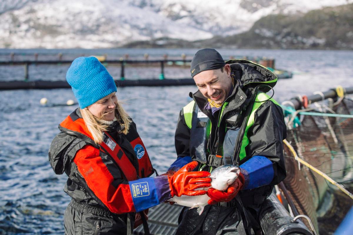 Styrket Fiskevelferd Og Redusert Dødelighet Starter Med Bedre