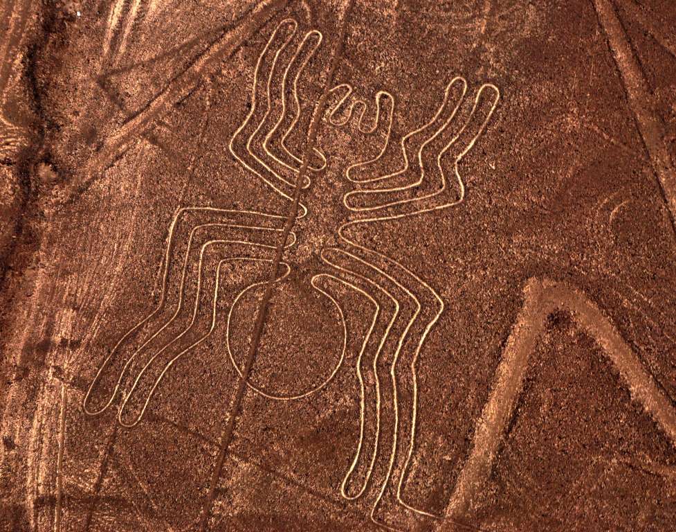 Lineas De Nazca Datos Que Debes Conocer Arqueología Del Perú