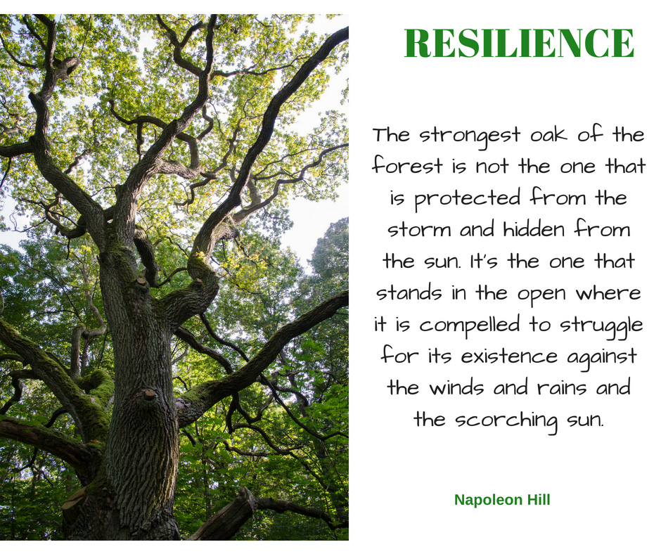 Cultivating Resilience Part I Authentic Living Llc