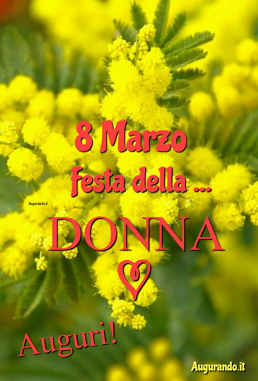 Auguri Buongiorno E Buona Festa Delle Donne Immagini