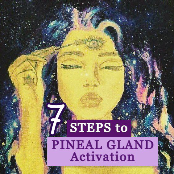 Pineal Gland Activation In 7 Steps Learn Tricks For Pineal Gland