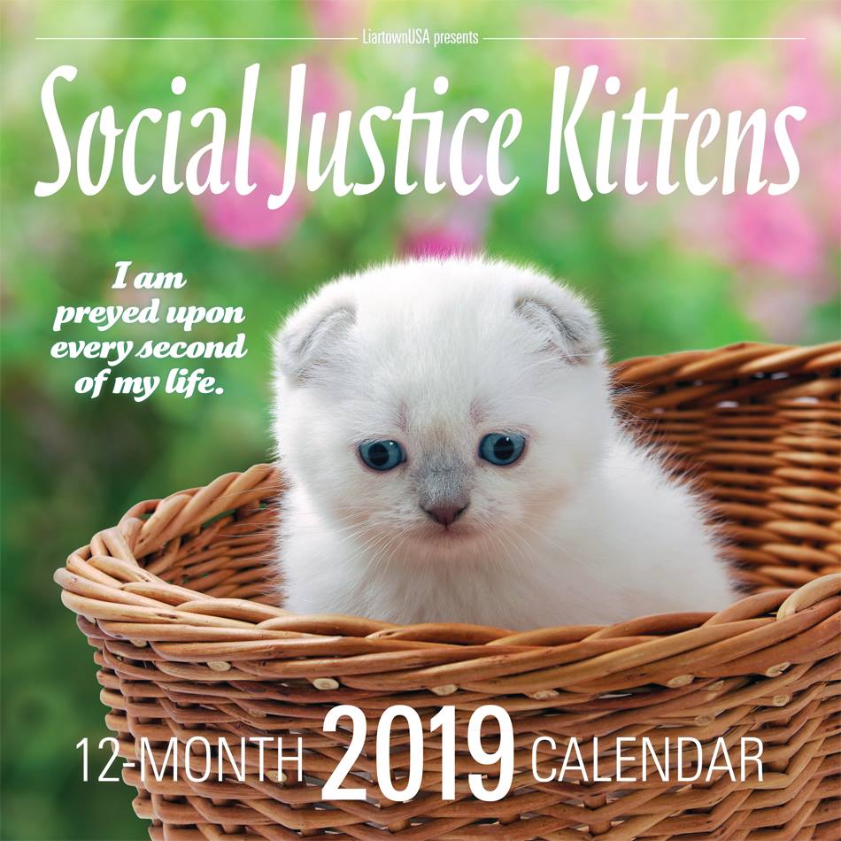 Liartownusas Social Justice Kittens Calendar Boing Boing