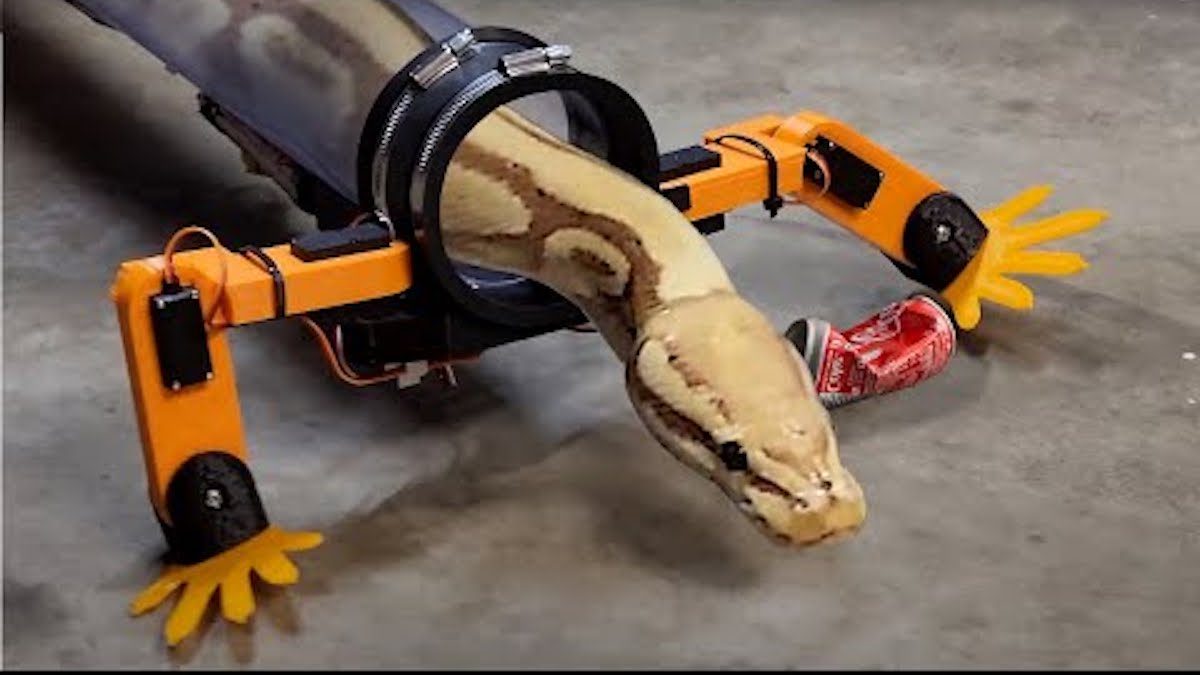 Nightmare Fuel Alert Giving A Snake A Set Of Robot Legs Boing Boing