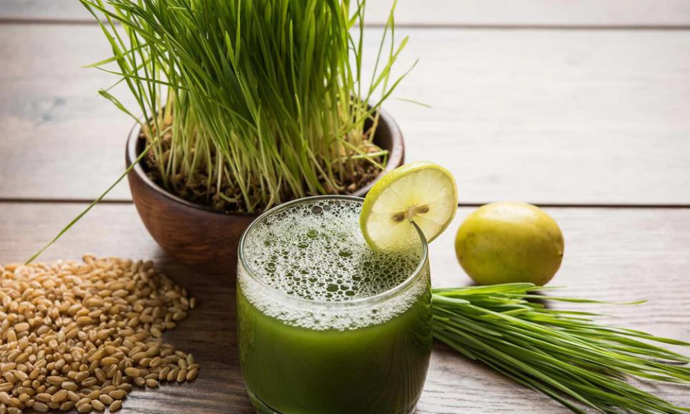 Wheatgrass Juice Benefits Uses Nutrition Side Effect