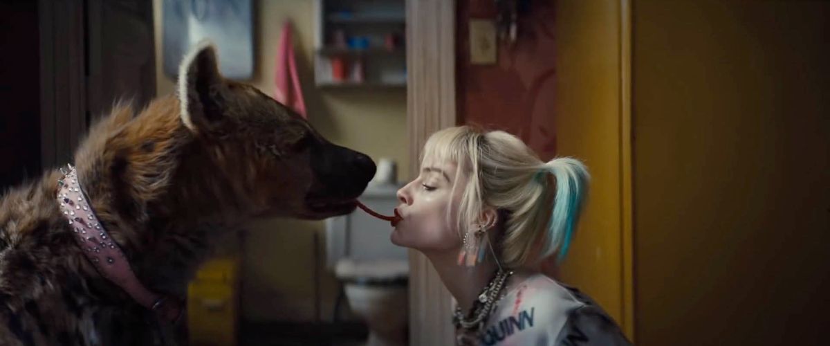 Margot Robbie Breaks Down The Hyena Scenes In Birds Of Prey