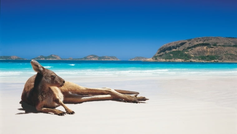 Where Are The 20 Best Beaches In Australia Backpacker Advice