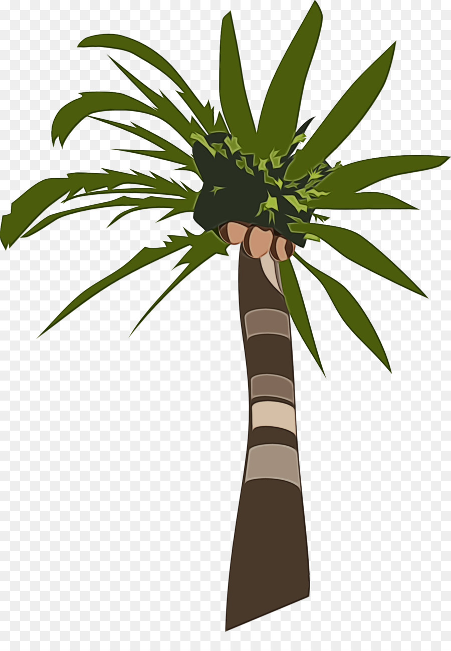 Gambar Pokok Kelapa Sawit Kartun Gambar Pokok Pokok Sawit Clipart