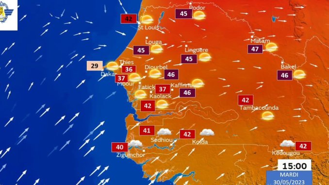 Meteo Des Températures Très élevées Dans Le Pays Baobab 7 Info