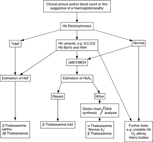 21 Disorders Of Puberty And Sex Development Basicmedical Key